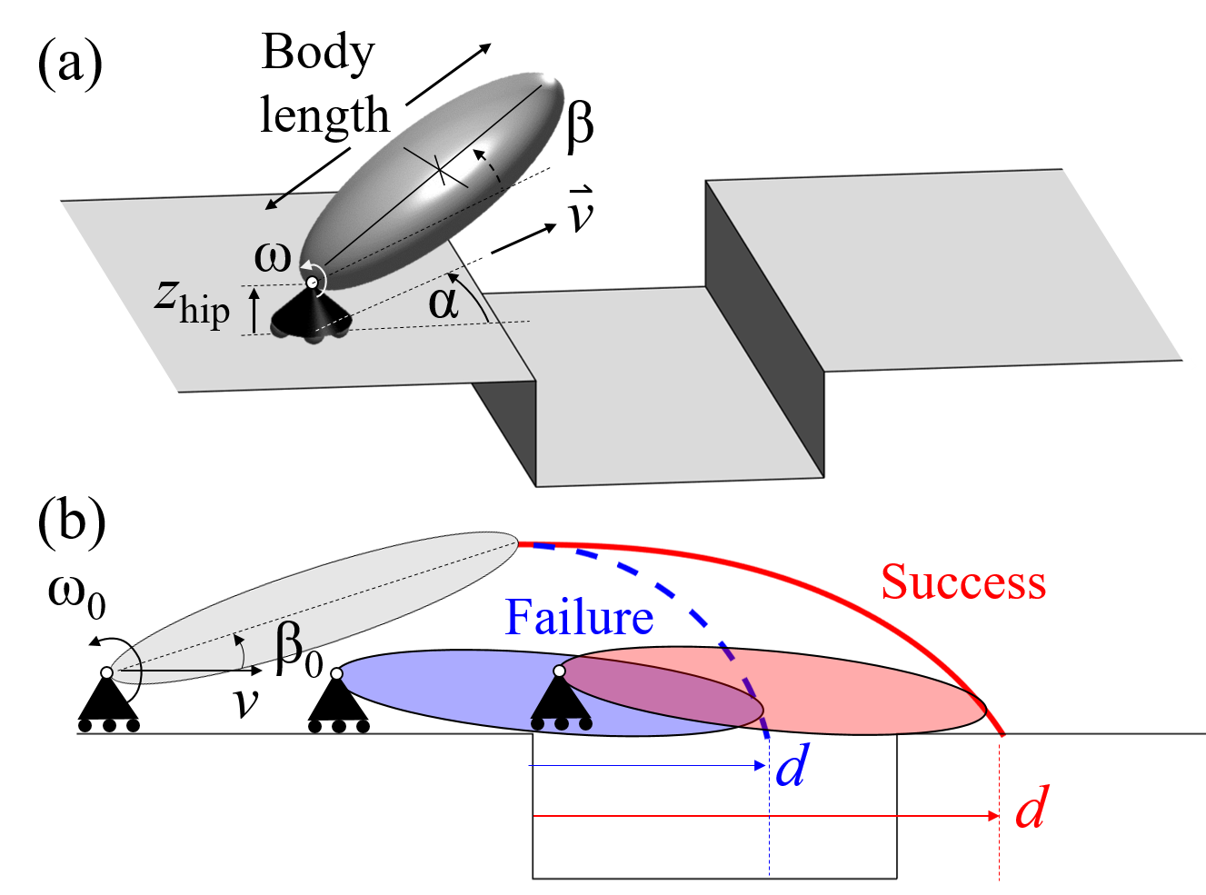 Large Gap Traversal First Dynamic Template For Locomotion In 3 D Terrain Terradynamics Lab