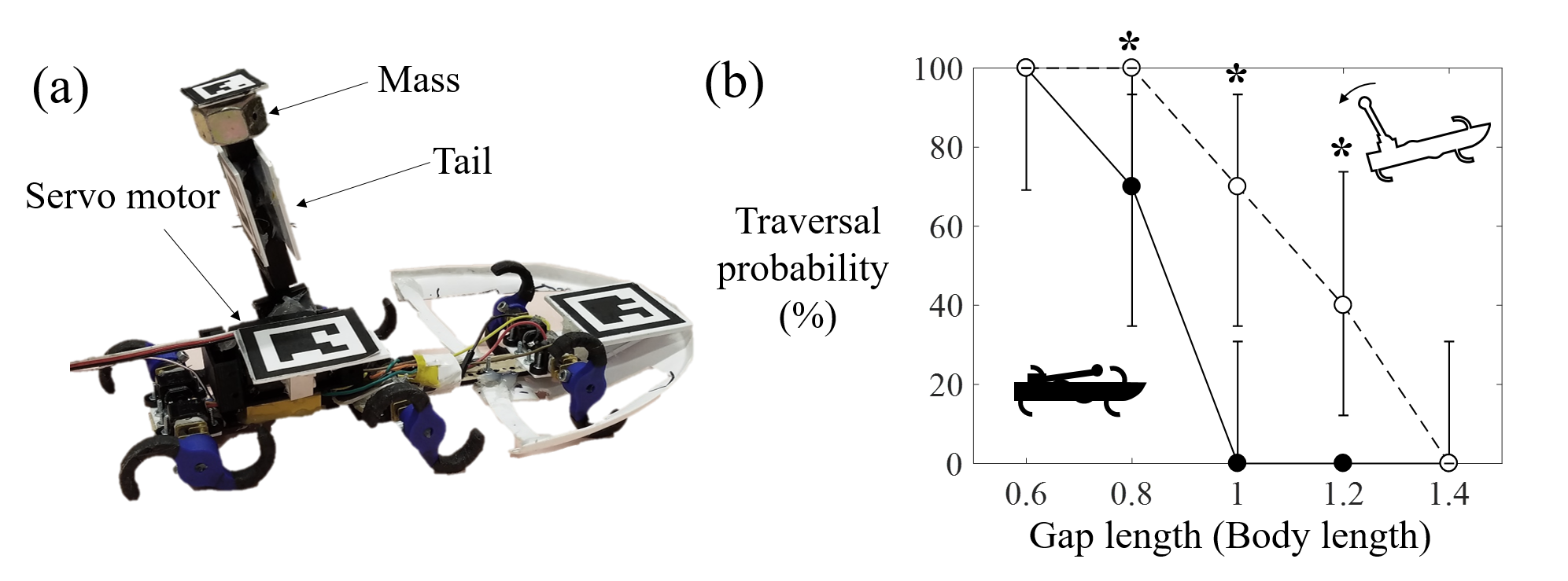 Large Gap Traversal First Dynamic Template For Locomotion In 3 D Terrain Terradynamics Lab